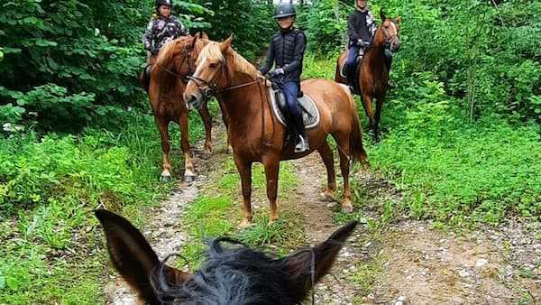 Travelguider - Avasta parimad elamused Eestis!